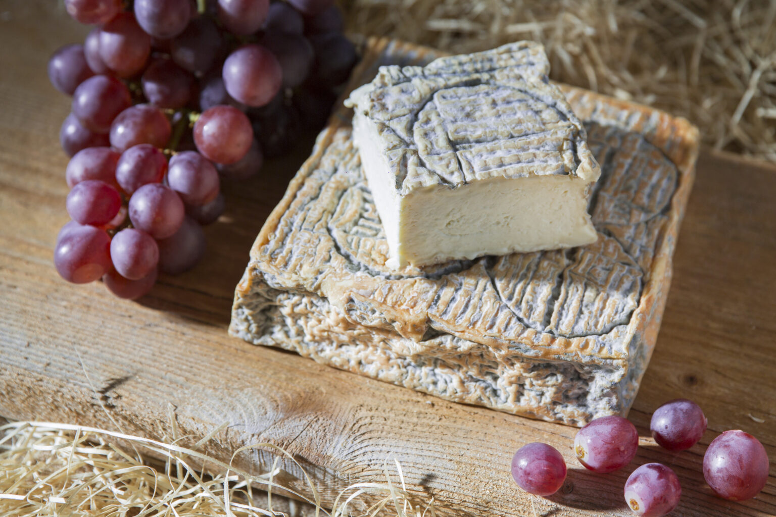 Taleggio Dop – Guilde Internationale des Fromagers